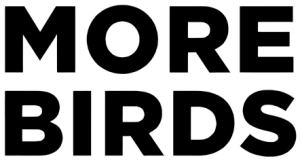 More Birds Website - Premium Hummingbird Feeders